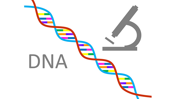 Surveyed Consumers Support Labeling for Food Containing GMOs … or DNA ...