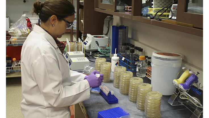 Recalls Increase Due to Tighter Testing and Regulation Not Greater ...