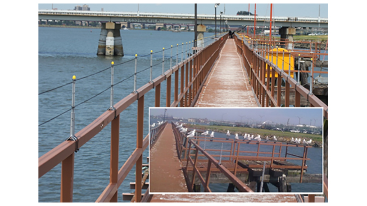 Tower Guard is a Visual and Physical Barrier for Birds - Quality ...