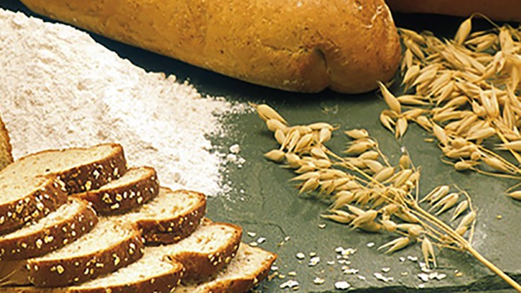 ARS Develops Calculation Correction for Grain Quality Test - Quality ...