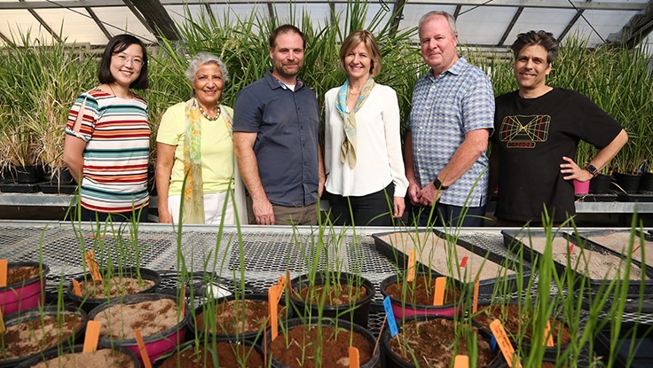 UC Riverside Plants-3D Program to Train Tomorrow's Ag Scientists ...