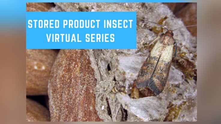 Insects Limited Launches Virtual Education Series - Quality Assurance ...