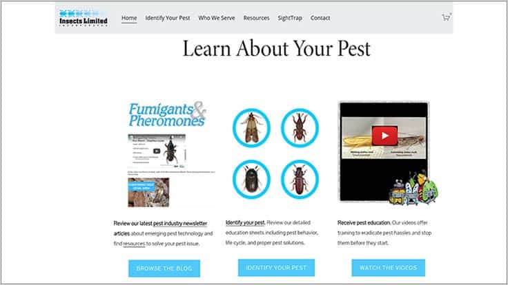 Insects Limited Launches New Website - Quality Assurance & Food Safety