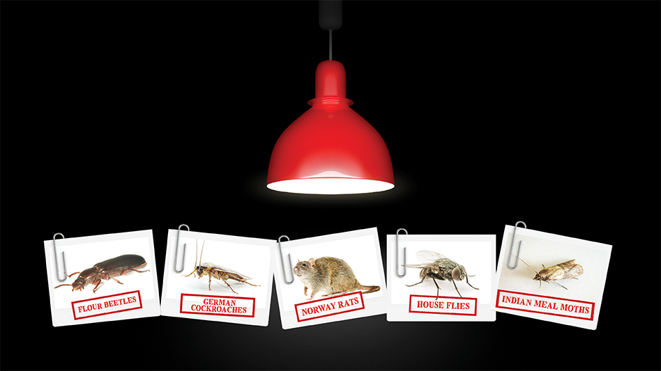 The Pest Files: Emerging Research on Pest Control in Food Facilities ...