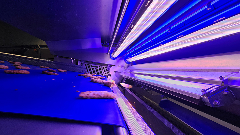 Key Technology Introduces Optical Sorters for Processed Protein ...