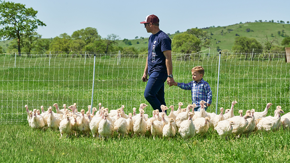 Diestel Family Ranch Becomes First Certified Regenified Turkey Brand ...