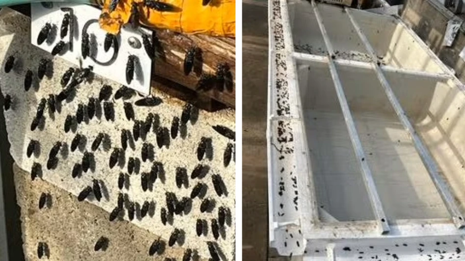 UCR Team Develops Small-Scale Food Waste Recycling System - Quality ...